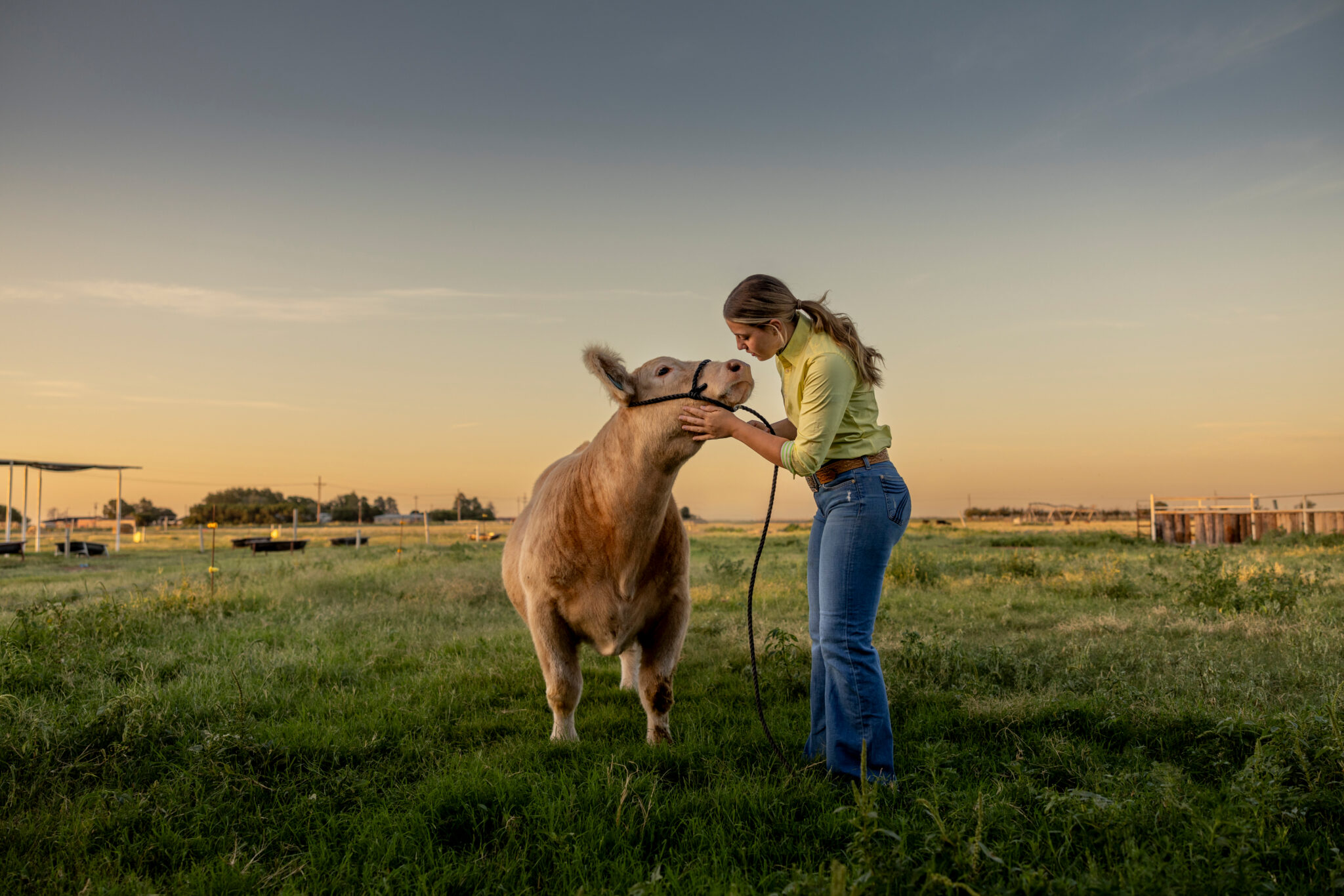 Capital Farm Credit’s GROW Your AgriRoots contest opens for ag ...