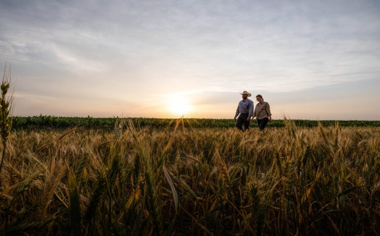 Capital Farm Credit establishes Texas Show Pass for livestock shows ...